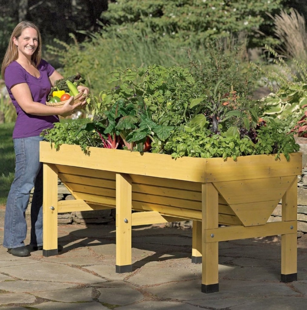 VegTrug Patio Garden | Fresh Garden Decor